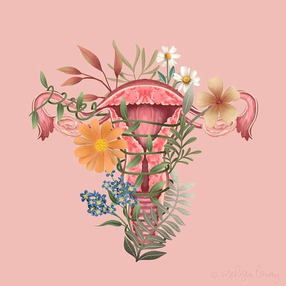 Rito del Útero – Centro Integral Despertar